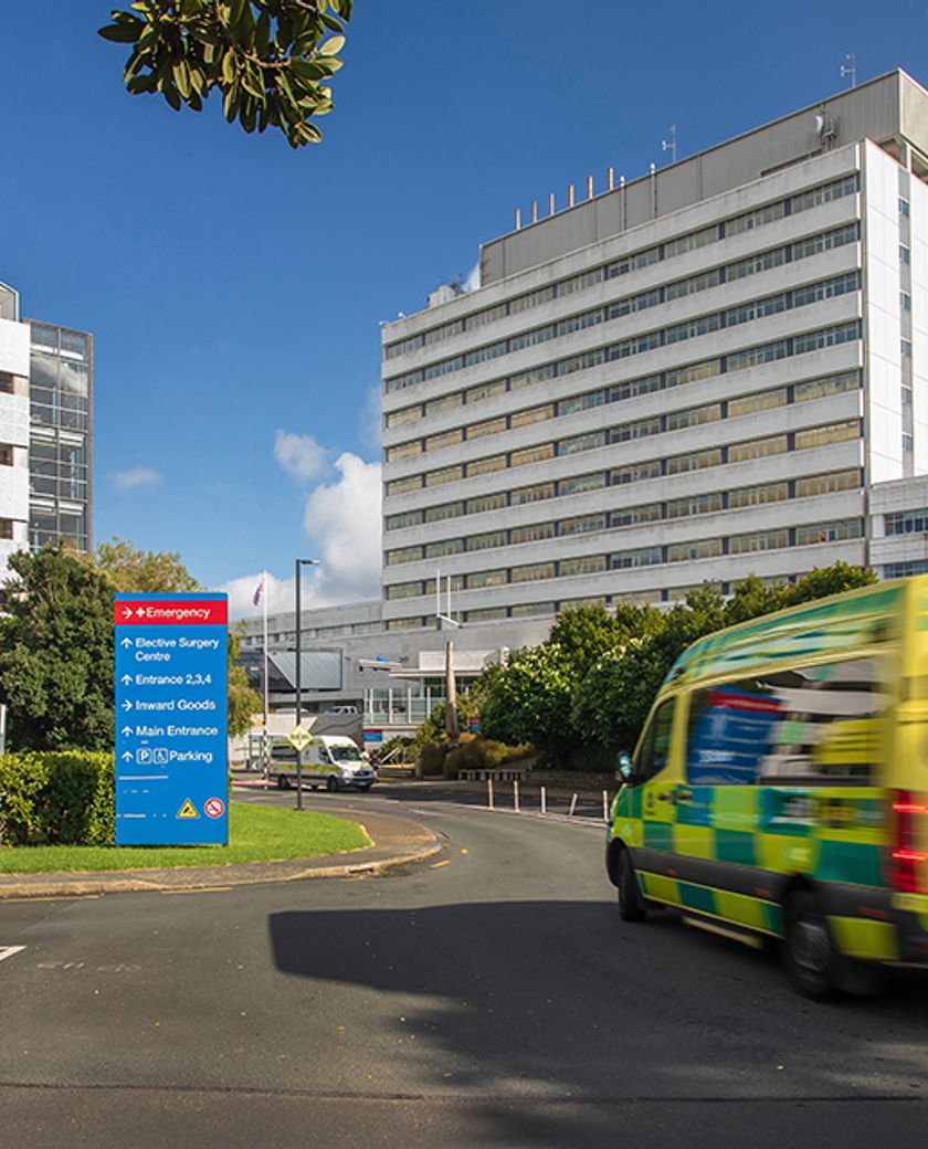 Maynard Marks - Property and Building Consultants